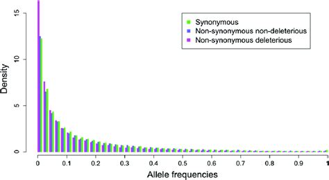 Derived Site Frequency Spectrum Of Synonymous Nonsynonymous