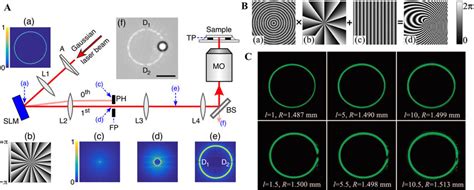 Experimental Generation Of Perfect Fractional Vortex Beam A Download Scientific Diagram