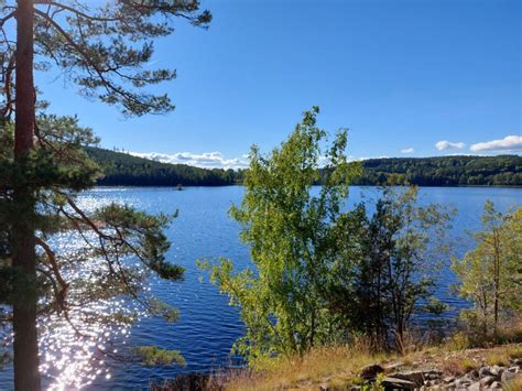 Michael Trenner Posted On Linkedin