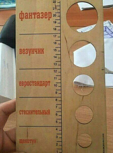 Как выглядит член 15 см фото