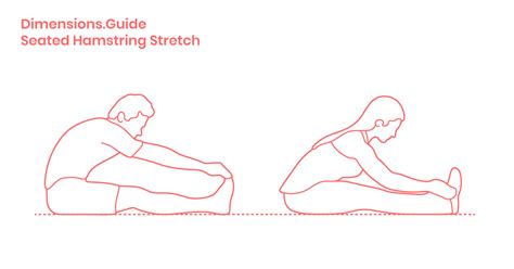 Seated Hamstring Stretch Dimensions Drawings Dimensions Guide