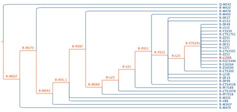Improved Accuracy Updates To Paternal Haplogroup Assignments 23andme