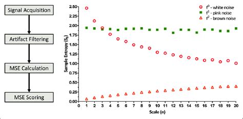 Schematic Overview Of The Multiscale Entropy Mse Scoring Method Download Scientific Diagram