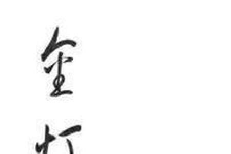 金灯花能长多高