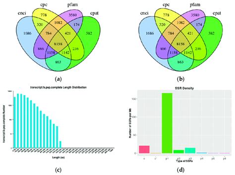 Functional Annotation And Structural Analysis Of The Full Length