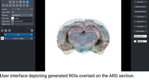 Euro Bioimaging