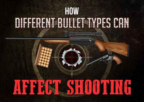 How Different Bullet Types Can Affect Shooting Infographic