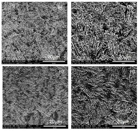Sem Micrograph A And B Low And High Magnification Of The New Bolt At Download Scientific