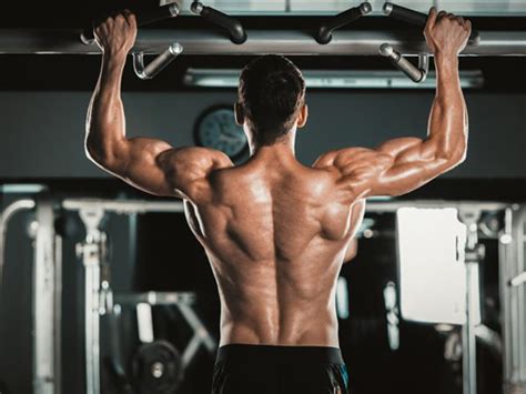 18 Best Bicep Workouts Exercises According To Science Old Babe Labs