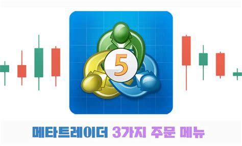 메타트레이더 5 Mt5 설치 및 기본 설정방법 ~ Xm 버전