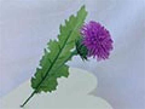 Цветы из гофрированной бумаги своими руками 15 вариантов как сделать цветы из гофробумаги