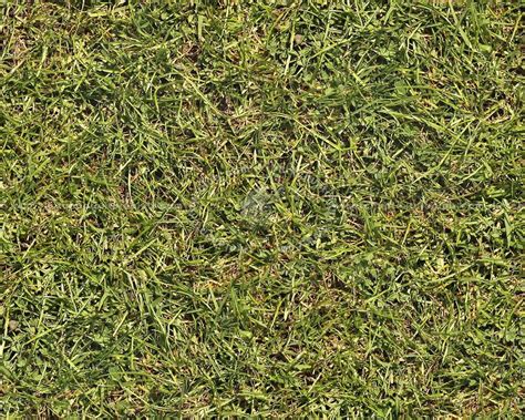 Green Grass Texture Seamless 12993 Grass Textures Grass Texture