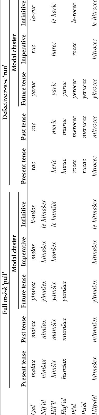 Illustration Of The Organization Of The Verb Lexicon Binyan Download Scientific Diagram