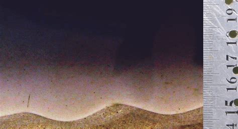 Photograph Of The Hcl From Experiment A The Sediment Is Shown In Download Scientific