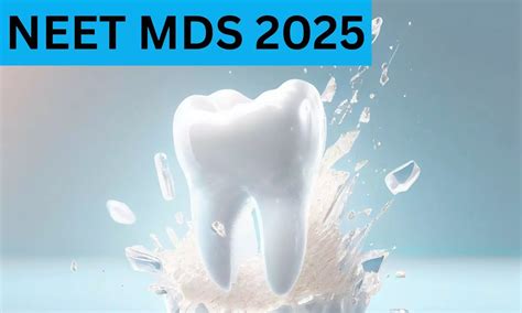 Neet Mds 2025 Exam To Have Time Bound Sections Demo Test Live From Tomorrow