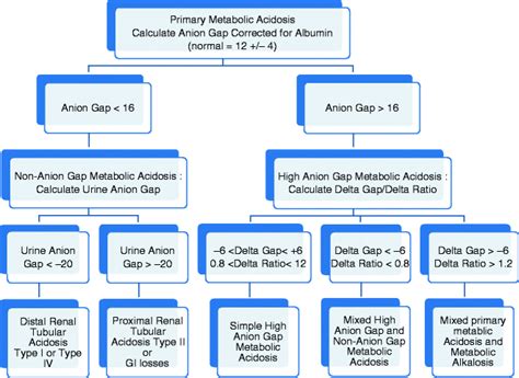 Metabolic Acidosis Springerlink Metabolic Acidosis Springerlink