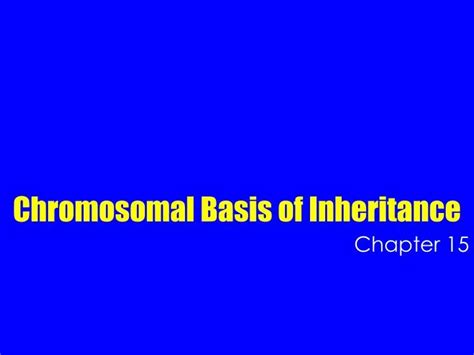 PPT Chromosomal Basis Of Inheritance PowerPoint Presentation Free Download ID