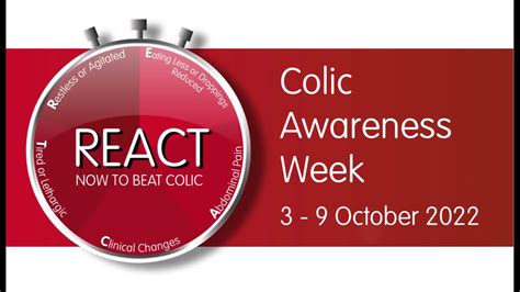 Debbie Corrigan On Linkedin Colic Awareness Week 2022