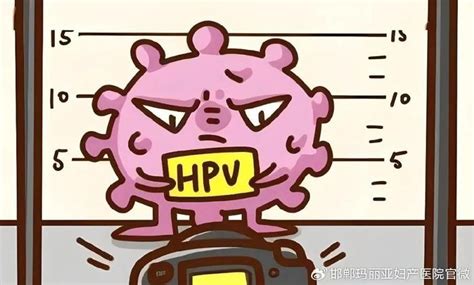 做自身健康的守护者，这些关于hpv的必备常识一定要知道~宫颈癌筛查高危型新浪新闻