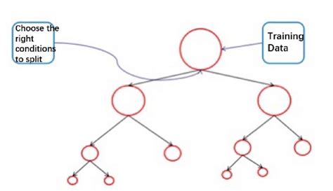 Decision Tree Generation When Generating A Decision Tree We Follow The