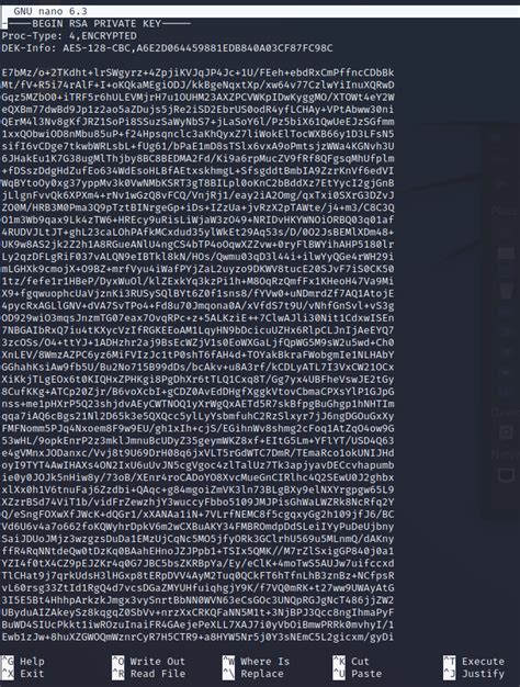 Приручение черного дракона Этичный хакинг с Kali Linux Часть 6 Пост эксплуатация Способы