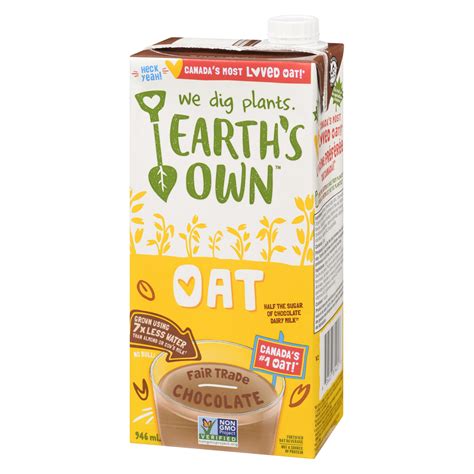Earth S Own Chocolate Oat Beverage Stong S Market