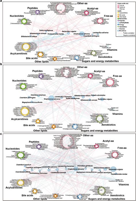 Networks Of Interactions Between The Gut Microbiota And Fecal