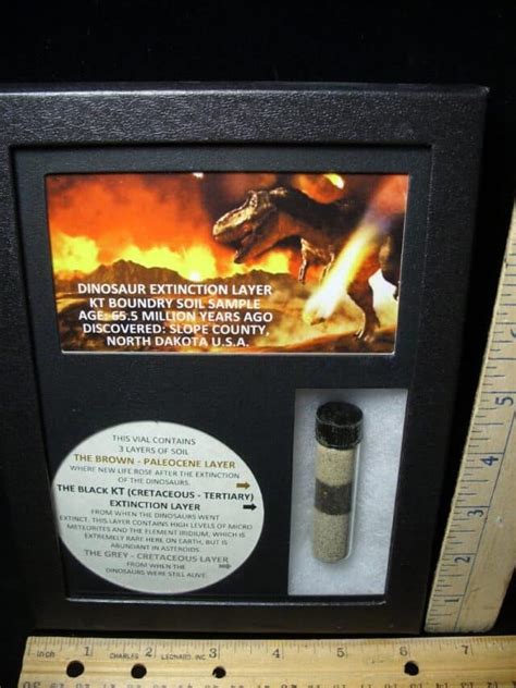 Preserved K T Boundary Layer Sample 082723c The Stones And Bones Collection