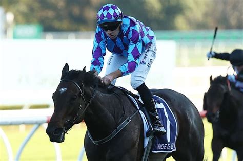 Bart Cummings Did It Ciaron Maher Toyed With Melbourne Cup Idea For Pride Of Jenni