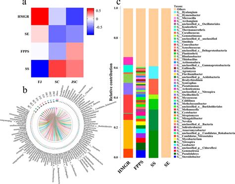 After Zero Mean Normalization The Abundance Of Four Genes Related To