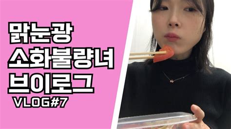 소불고기 브이로그 Ep7 도시락 싸다니는 시험기간 학원 강사 일상 집밥 잘 먹고 잘 사는 인생 스트레스로 몰먹 입터짐 Youtube