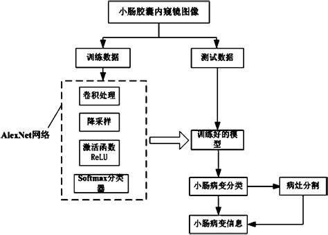 Lesion Identification Patented Technology Retrieval Search Results