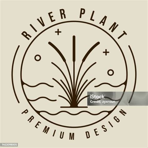 강 식물 갈대 로고 라인 아트 벡터 간단한 그림 템플릿 아이콘 그래픽 디자인 Cattails 잔디 자연 기호 또는 환경 자연 개념에 대한 기호 원형 배지와 타이포그래피