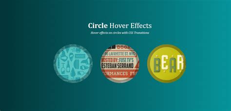 Circle Hover Effects With Css Transitions