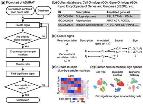 Asurat Functional Annotation Driven Unsupervised Clustering Of Single