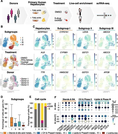 Transcriptomic Profiling Reveals Four Subgroups Of Phhs Independently