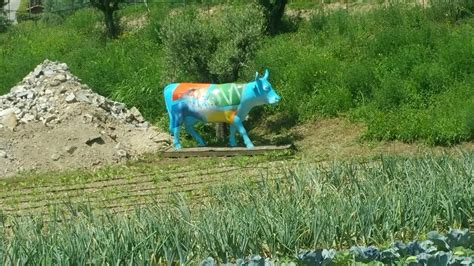 When You Select The Wrong Texture Image Scrolller