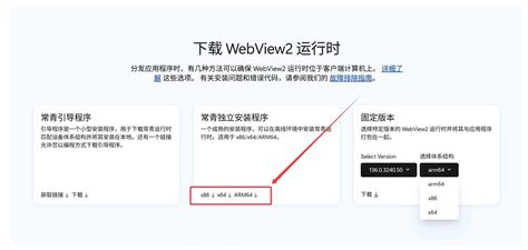 qt集成微软webview2做一个浏览器 哔哩哔哩