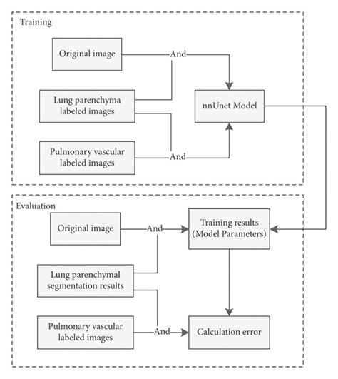 Training And Validation Process Download Scientific Diagram