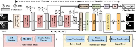 Figure 1 From Ipca Former A Multi Task Transformer Framework For Perceiving Incidental Prostate