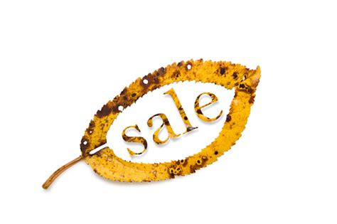 흰색 배경에 고립 된 비문 판매와 근접 촬영 그림자와 노란 잎 0명에 대한 스톡 사진 및 기타 이미지 0명 10월 11월 Istock