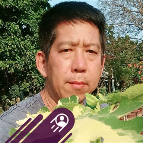 มะเดื่อฝรั่ง และไม้กระแสทำเงิน ขายแล้ว