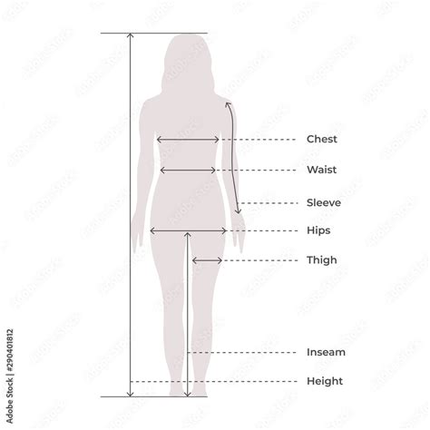 Woman Female Body Measurement Proportions For Clothing Design And