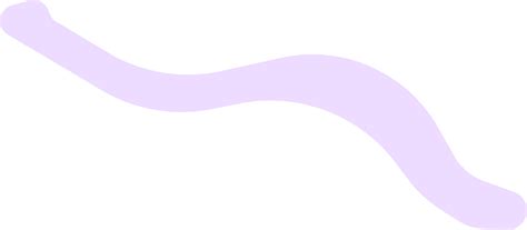 Quantum Recovery Law Group