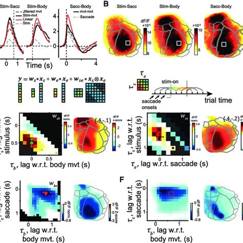 Nonlinear Response Summation And Normalization Download Scientific
