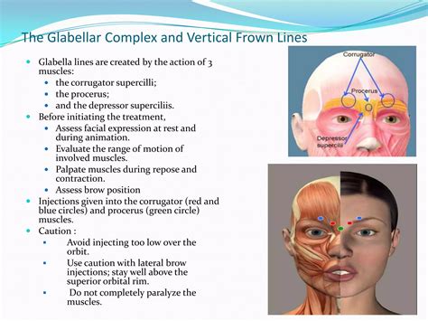 Botulinum Toxin In Dermatology Ppt Pptx