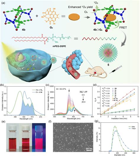 Enhancing The Photosensitivity Of Hypocrellin A By Perylene Diimide Metallacage Based Hostguest