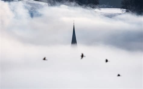 집 밖의 감기 건축 겨울 격리 경치 고독 고딕 스타일 고요한 공중 촬영 교회 교회 탑 날씨 높이 대기의 미스터리한 박무 새 수평의 스카이