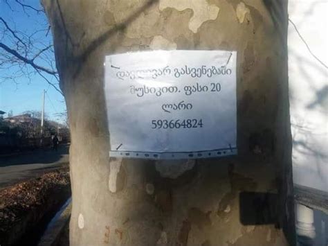 გურია სუფსა შენდუუკარ 🤣🤣🤣🤣 გადარეული გურული