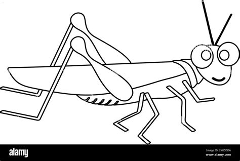 Grasshopper Drawing Stock Vektorgrafiken Kaufen Alamy